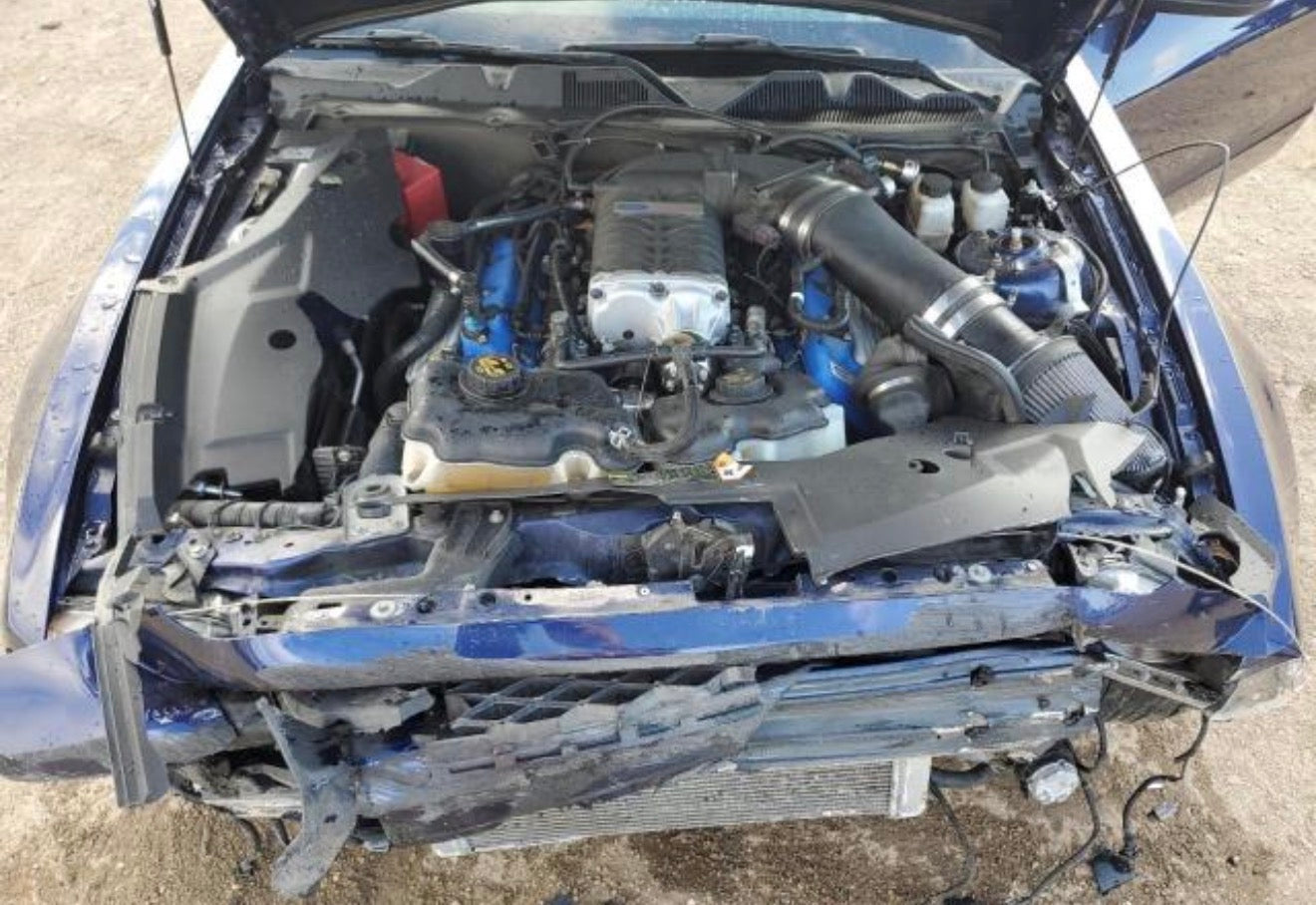 2012 Ford Mustang Shelby GT500 Coupe Door Panels & Sill Plates Chicago ...